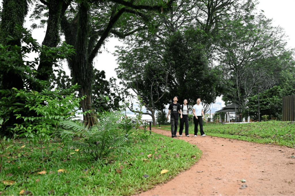 Keppel Coastal Trail: New Boardwalk At Labrador Nature Park