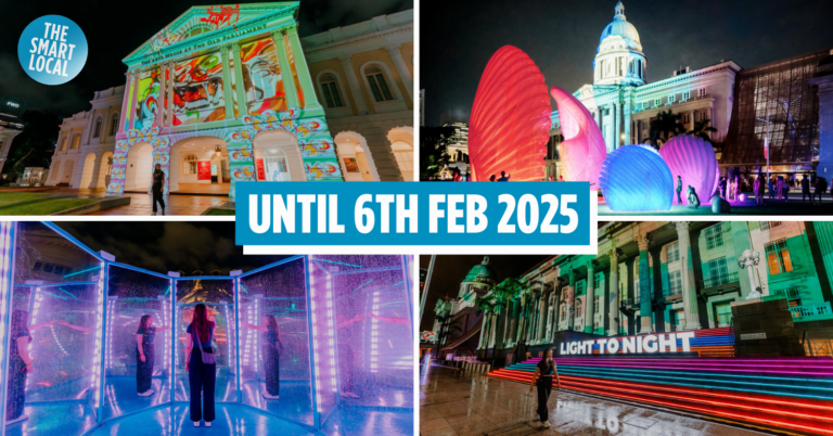 First Look At Light To Night 2025 - Giant Seashells & Projections