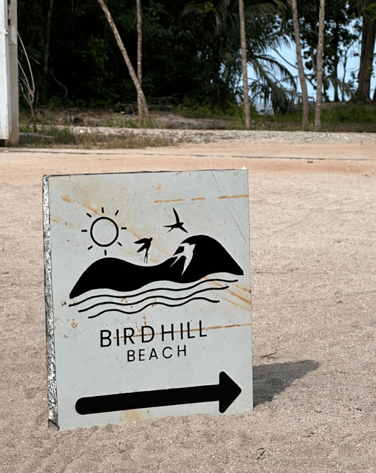 Birdhill Beach Near JB Has Glamping Packages From S$90/Night