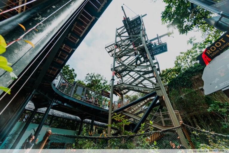 Guide To Rainforest Wild ASIA At Mandai Wildlife Reserve