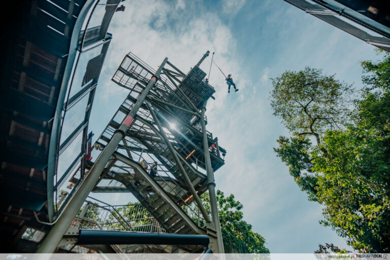 Guide To Rainforest Wild ASIA At Mandai Wildlife Reserve