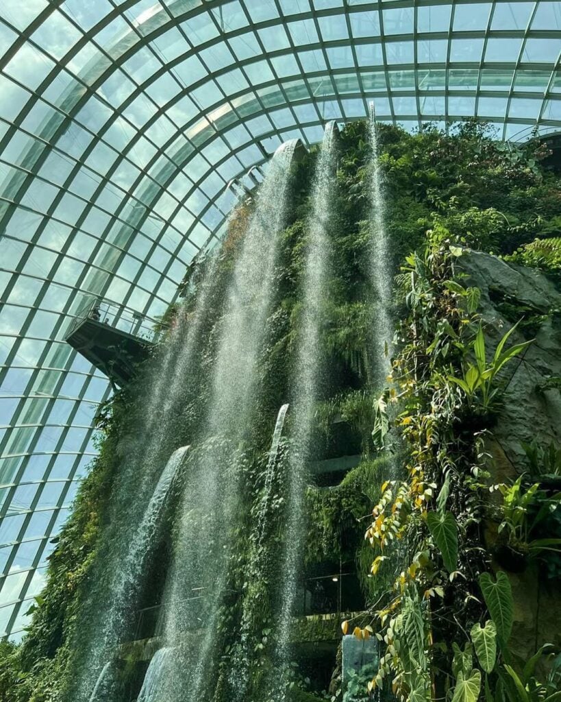 Cloud Forest at Gardens by the Bay (2025 Guide)
