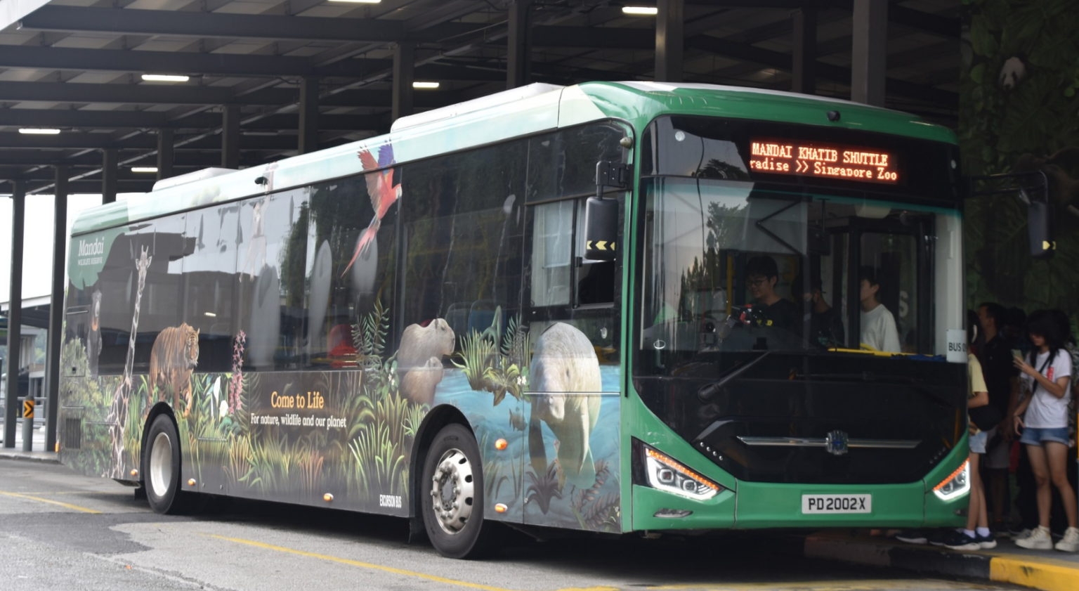 Guide To Rainforest Wild ASIA At Mandai Wildlife Reserve