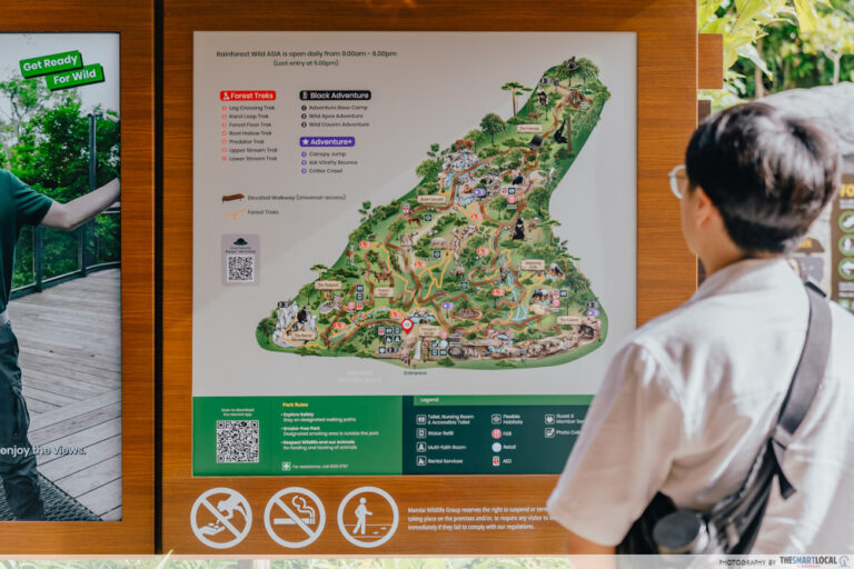 Guide To Rainforest Wild ASIA At Mandai Wildlife Reserve