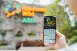 Guide To Rainforest Wild ASIA At Mandai Wildlife Reserve