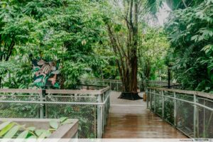 Mandai Boardwalk: Easy Walking Trails, Reservoir Views & Wildlife