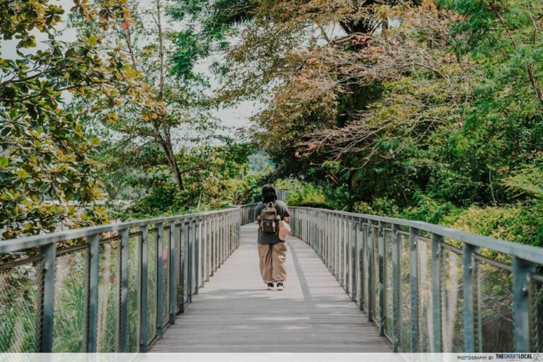 Mandai Boardwalk: Easy Walking Trails, Reservoir Views & Wildlife