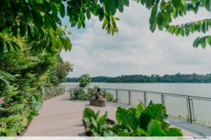 Mandai Boardwalk Guide: Reservoir Views, Wildlife & Free Entry