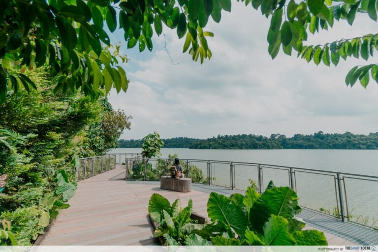 Mandai Boardwalk: Easy Walking Trails, Reservoir Views & Wildlife