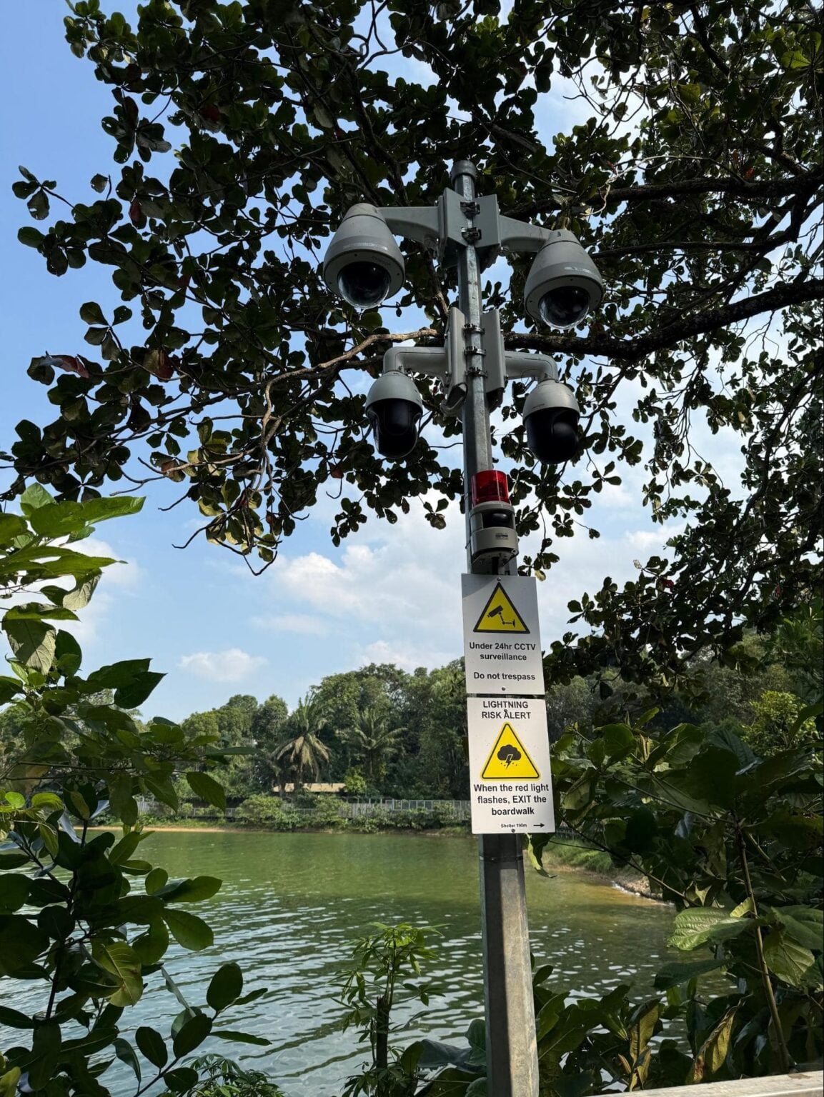 Mandai Boardwalk Guide: 3.3km Walk With Reservoir Views & Free Entry (2026)