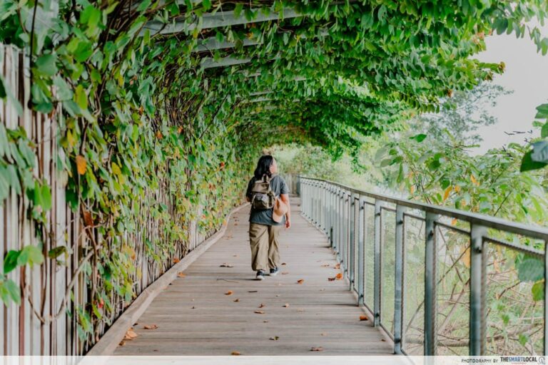 Mandai Boardwalk: Easy Walking Trails, Reservoir Views & Wildlife