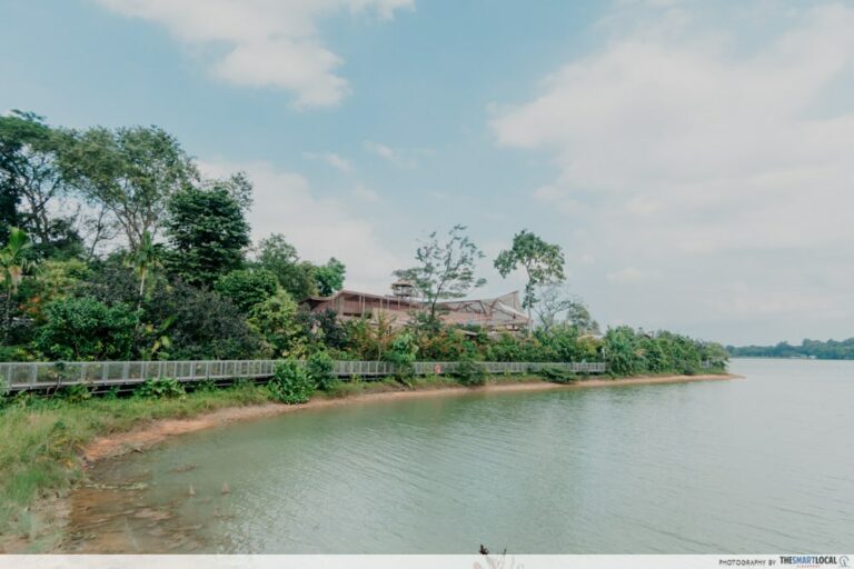 Mandai Boardwalk Guide: Reservoir Views, Wildlife & Free Entry