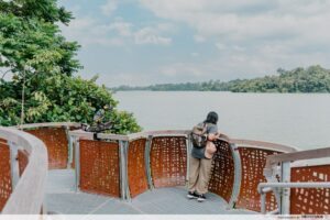 Mandai Boardwalk Guide: Reservoir Views, Wildlife & Free Entry