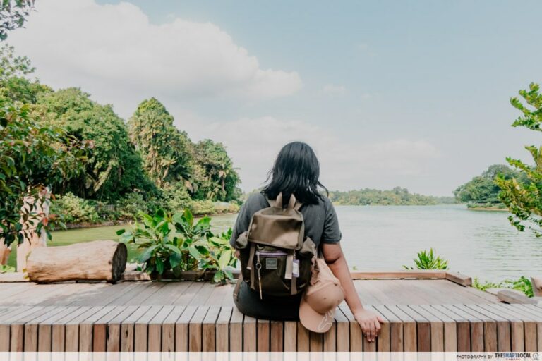 Mandai Boardwalk: Easy Walking Trails, Reservoir Views & Wildlife