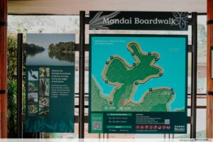 Mandai Boardwalk: Easy Walking Trails, Reservoir Views & Wildlife