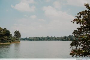 Mandai Boardwalk: Easy Walking Trails, Reservoir Views & Wildlife