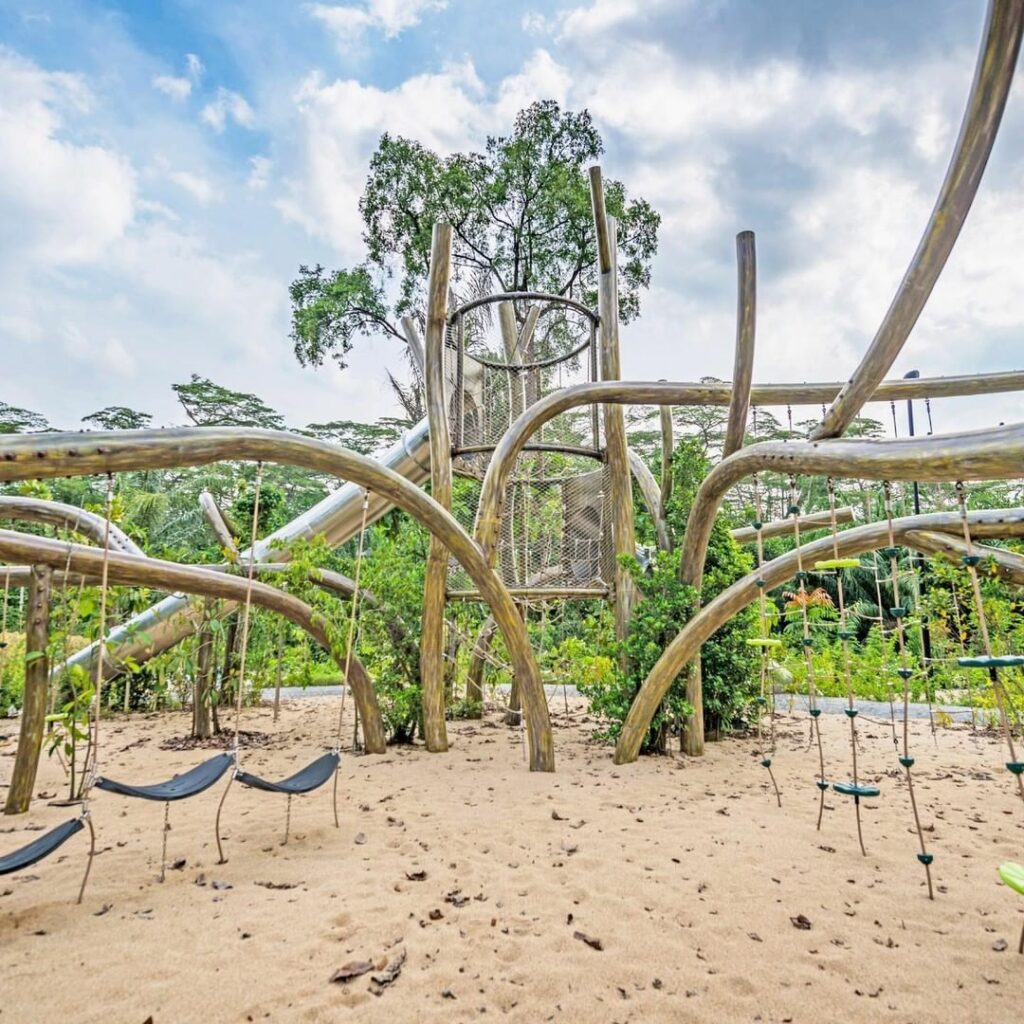 15 Best Things To Do At Singapore Botanic Gardens [2025]