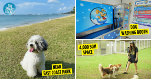 17 Best Free Dog Runs & Parks In Singapore For Doggo Playdates