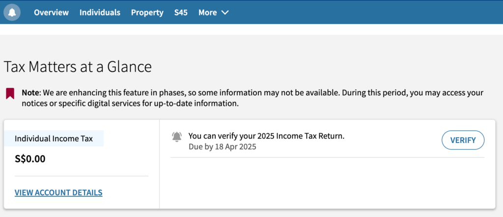 How To File Income Tax In Singapore (2025)