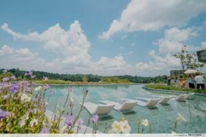 Mandai Rainforest Resort: "Treehouse" Rooms & Banyan Tree Spa