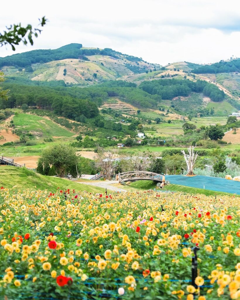 Mongo Land In Da Lat, Vietnam Has A Rainbow Slide & Petting Zoo