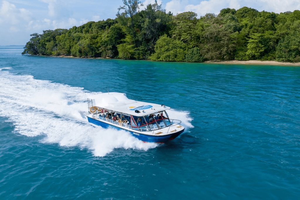 28 Best SG60 Deals In Singapore To Snap Up This Year