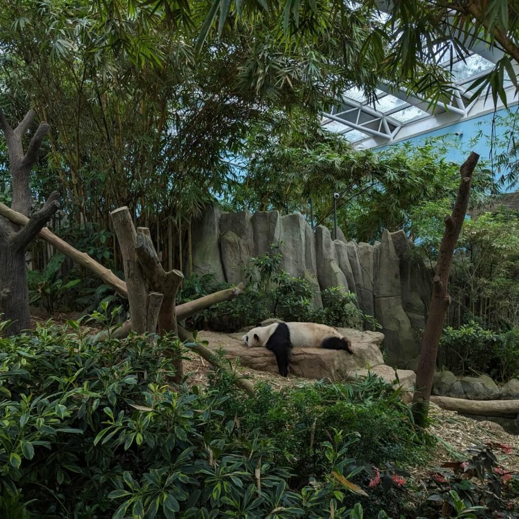 River Wonders at Mandai Wildlife Reserve (2025 Guide)