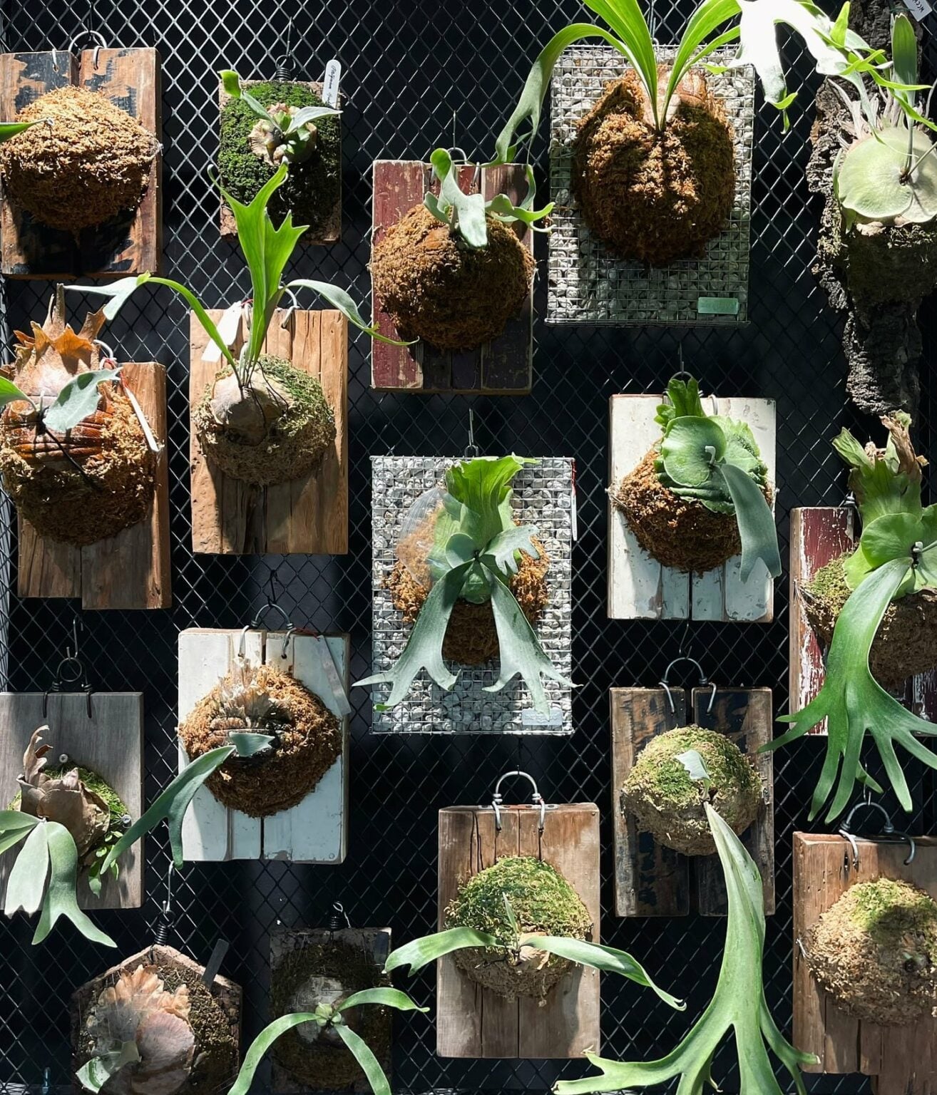 Kapo Factory Building: 7 Unique Stores To Check Out