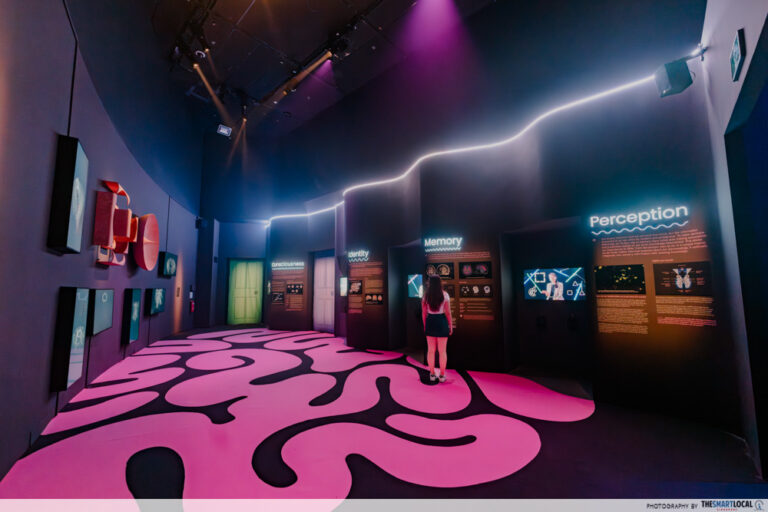 Mirror Mirror: Journey Into the Mind At ArtScience Museum