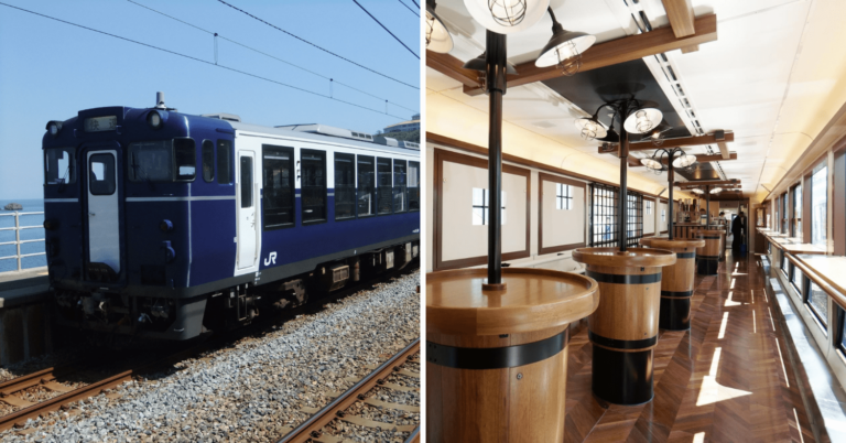 14 Coolest Themed Trains In Japan