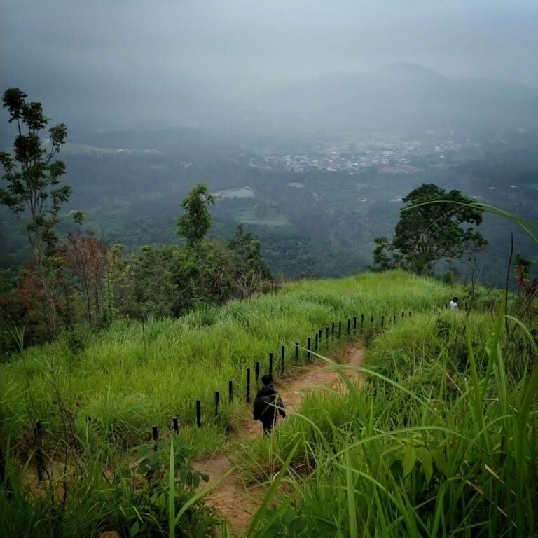 Twin Jets Resort In Malaysia: Pool Table, B-Ball Court & More