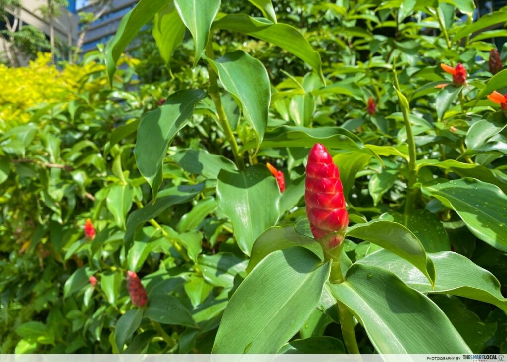 Geneo @ Singapore Science Park: Lifestyle Hub In Kent Ridge