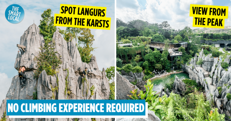 Wild Apex Adventure Review - Rainforest Wild ASIA At Mandai