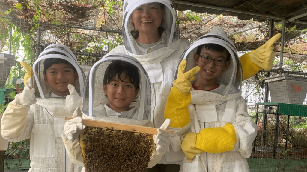 Go Green SG 2025 Has Free Eco-Friendly Activities This June