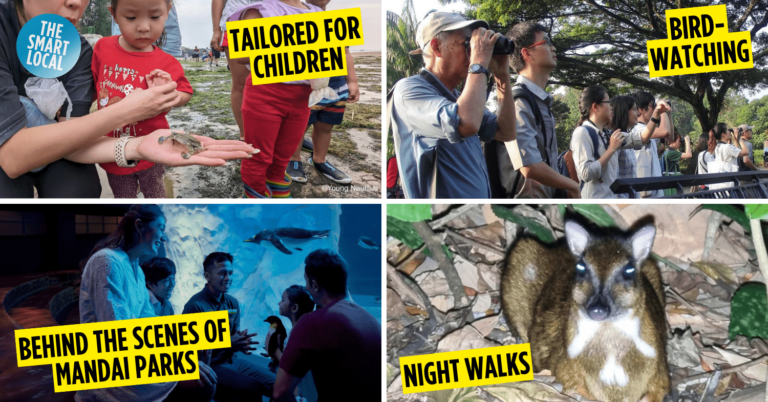 12 Best Guided Nature Walks & Tours In Singapore (2025)