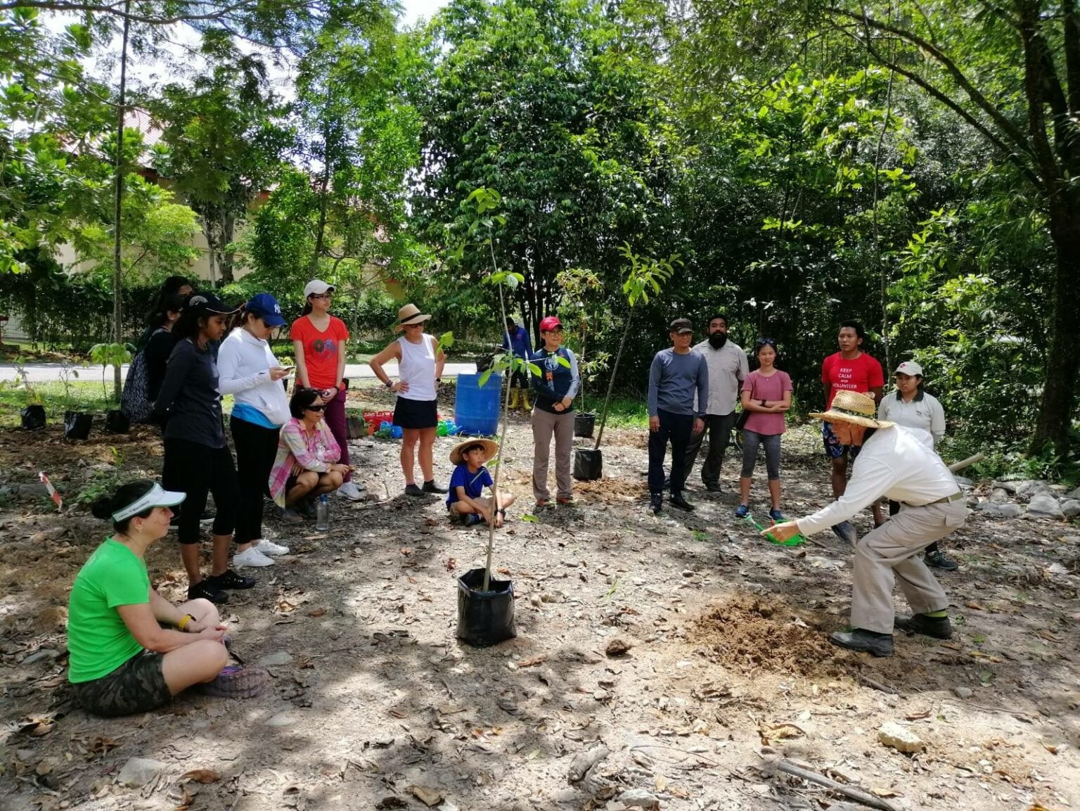 12 Best Guided Nature Walks & Tours In Singapore (2025)