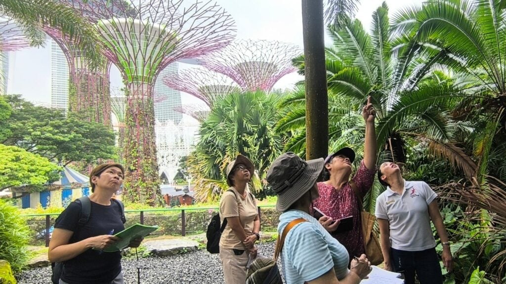 12 Best Guided Nature Walks & Tours In Singapore (2025)