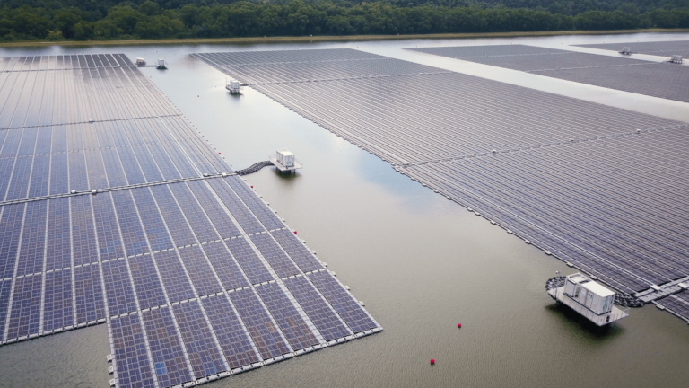 Go Green SG 2025 Has Free Eco-Friendly Activities This June