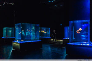 Singapore Oceanarium: Huge Kriesel Tank & Interactive Zones