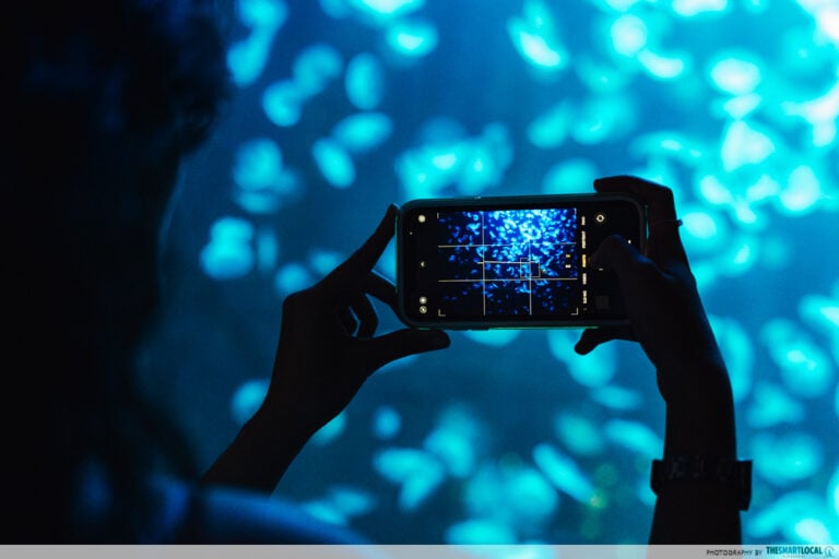 Singapore Oceanarium: Huge Kriesel Tank & Interactive Zones