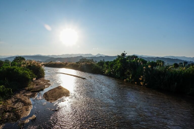 Chiang Mai's Mae Hong Son Loop Biking Guide (2025)