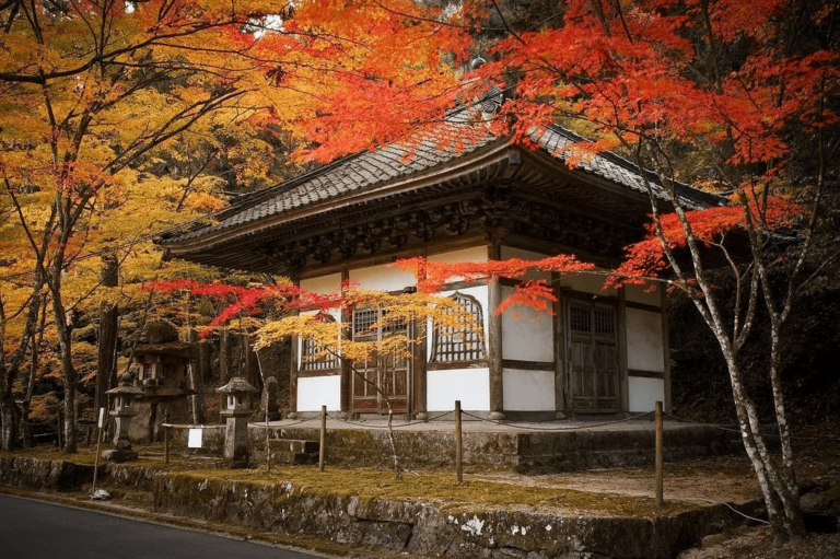 Guide To Seeing Autumn Leaves In Japan 2025