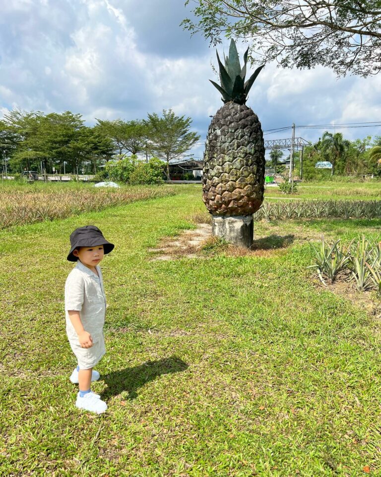 14 Things To Do In Pontian, Johor (2025 Guide)