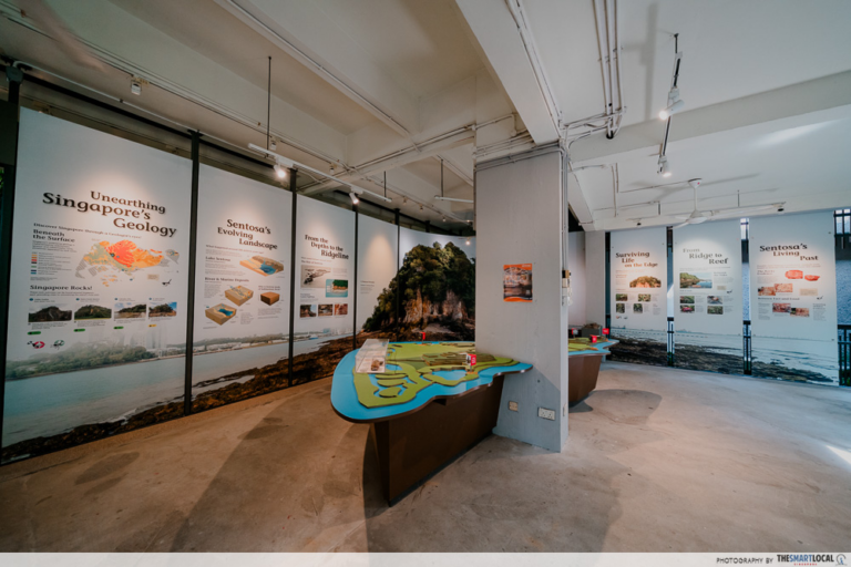 Sentosa Nature Discovery: Free Learning Attraction In Sentosa