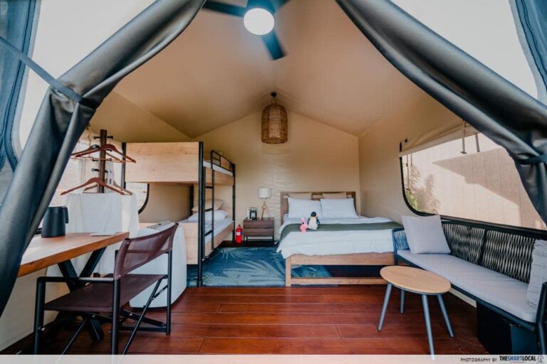 Colugo Camp At Mandai Wildlife Reserve