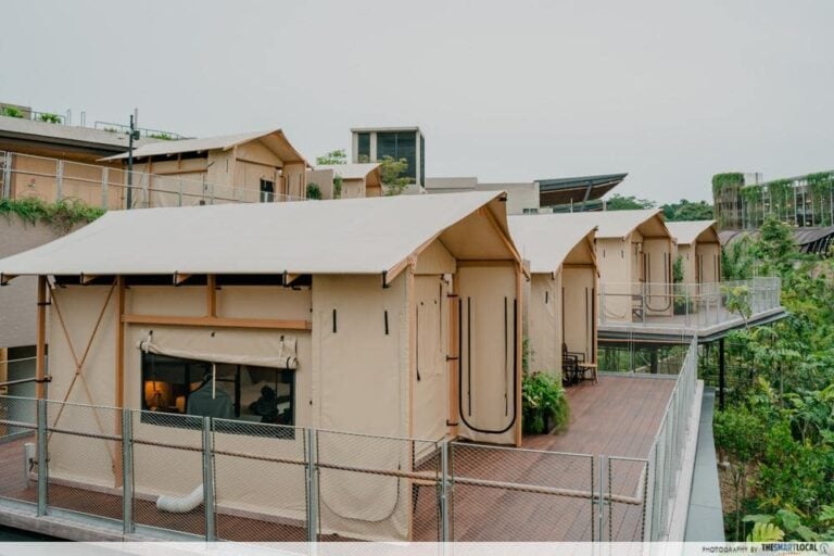Colugo Camp At Mandai Wildlife Reserve