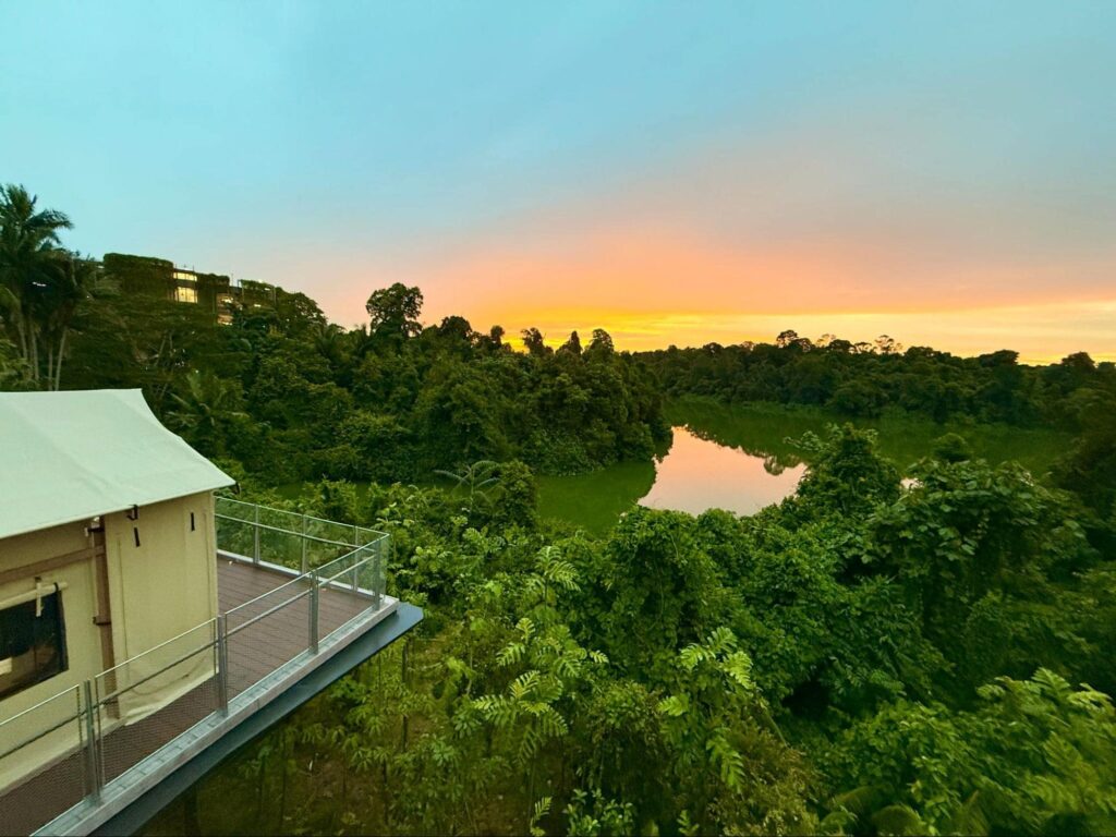 Colugo Camp At Mandai Wildlife Reserve