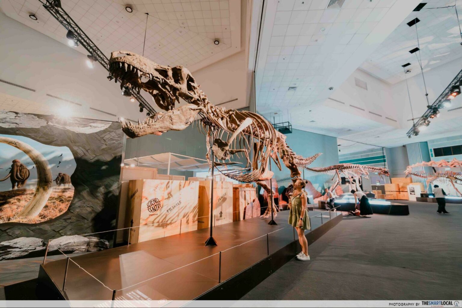 Dinosaurs | Extinctions | Us At The Science Centre Singapore