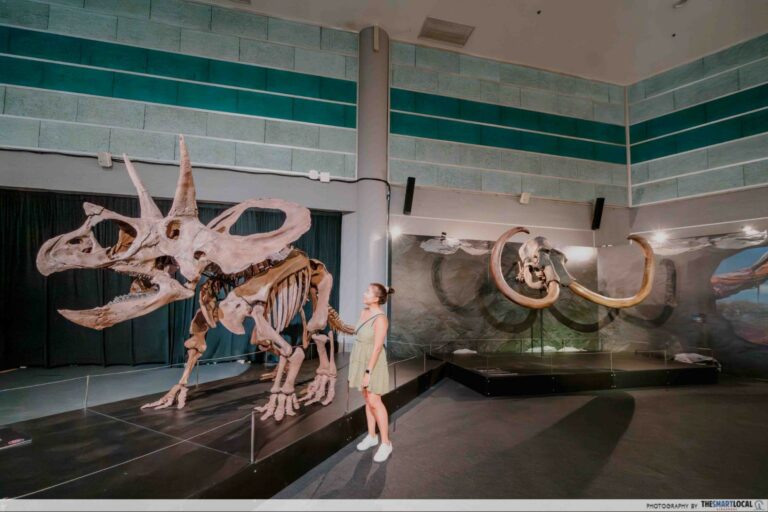 Dinosaurs | Extinctions | Us At The Science Centre Singapore