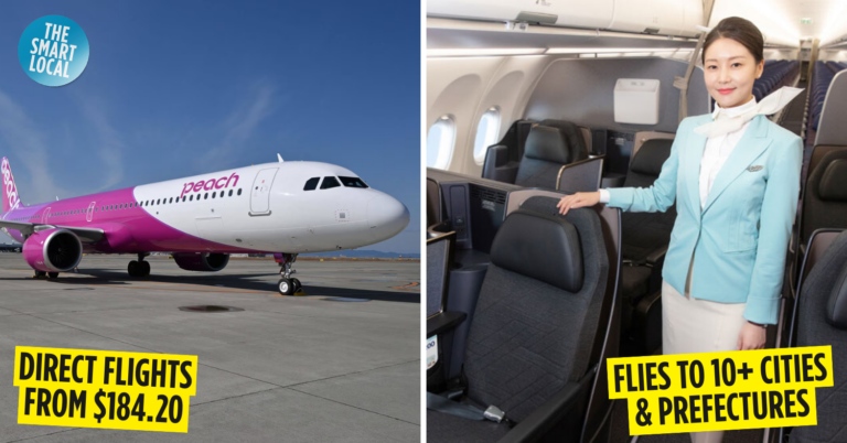 9 Best Airlines With Cheap Flights To Japan From Singapore